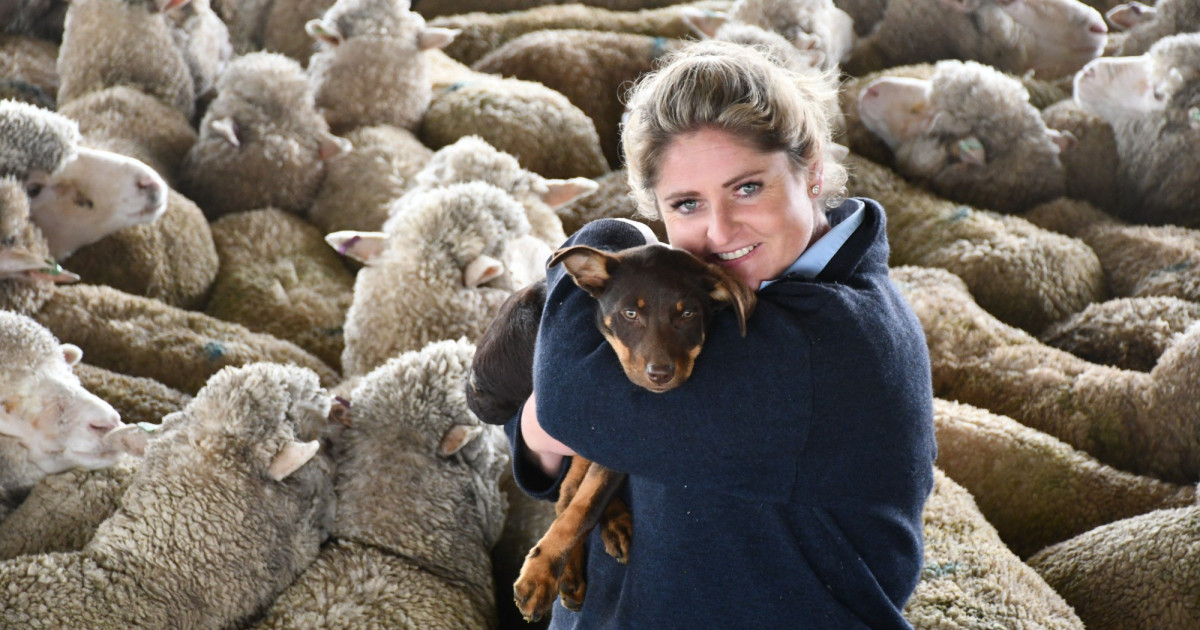 Newstead wool broker recognised for talent | The Maryborough District ...