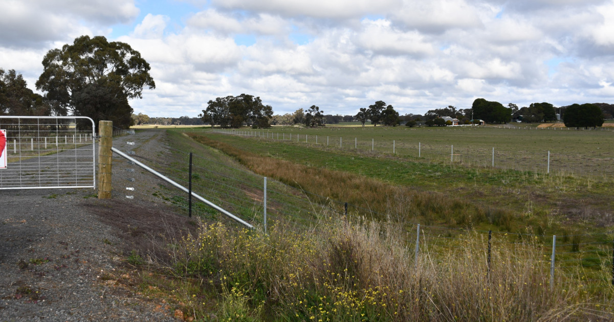 Carisbrook levee’s designers Entura “dissatisfied” with independent ...