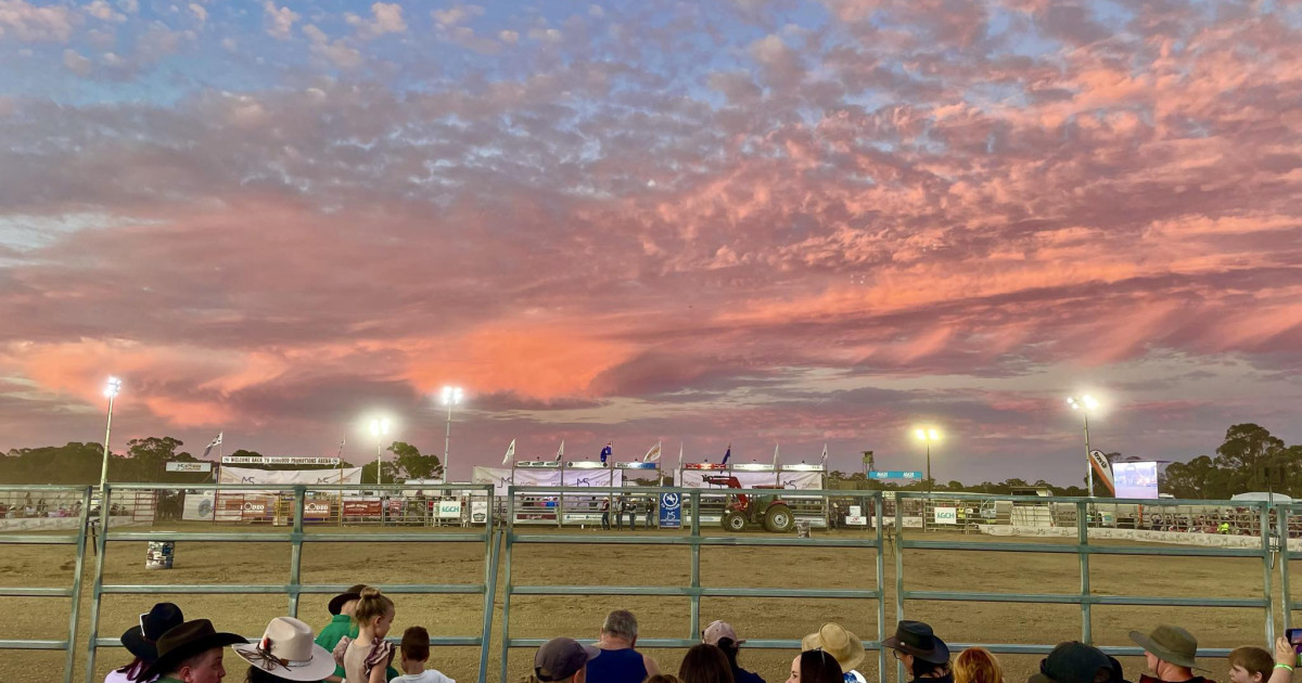 Second harness club rodeo thrills crowds | The Maryborough District ...